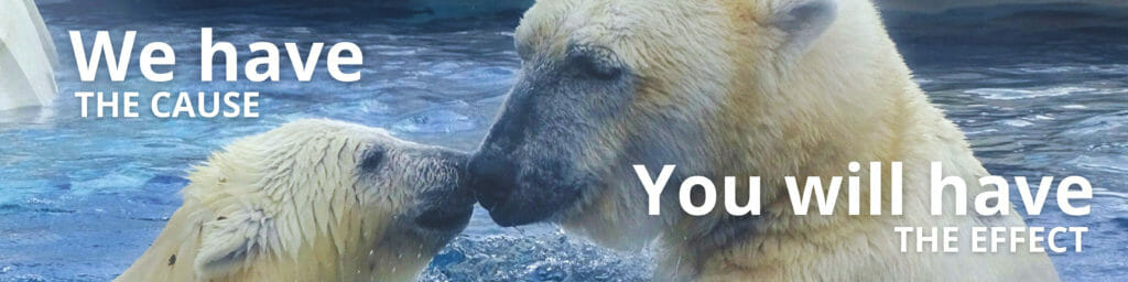 Volunteer Opportunities Detroit Zoo