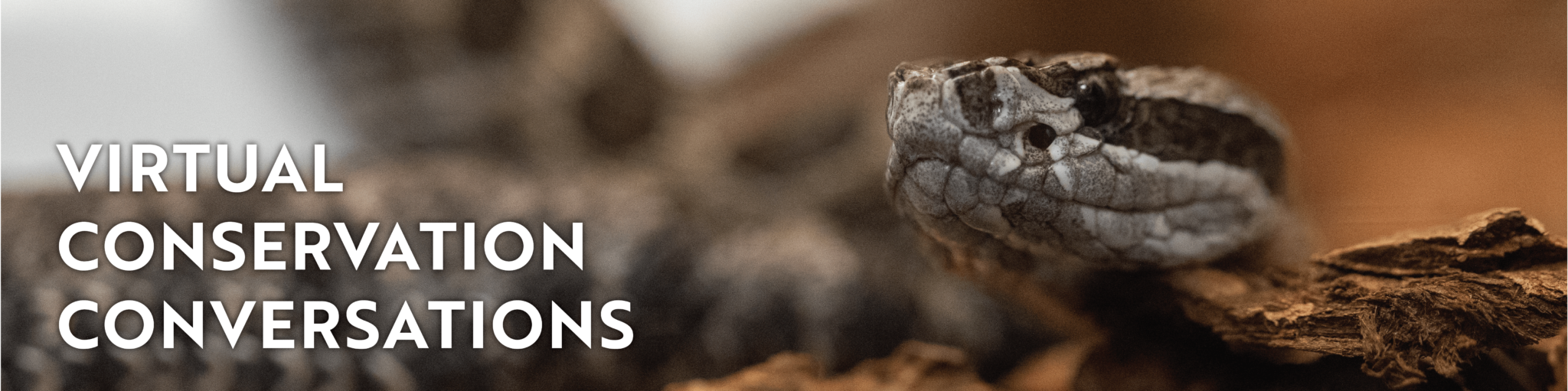 Conservation Conversations - Detroit Zoo