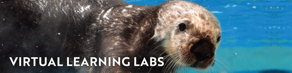 Virtual Learning Labs - Detroit Zoo