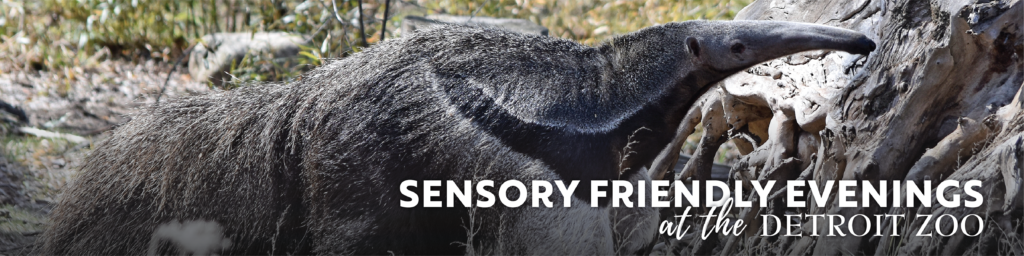 Sensory Friendly Evenings - Detroit Zoo Sensory Friendly Evenings - Detroit Zoo
