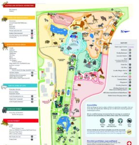 Information and Safety - Detroit Zoo